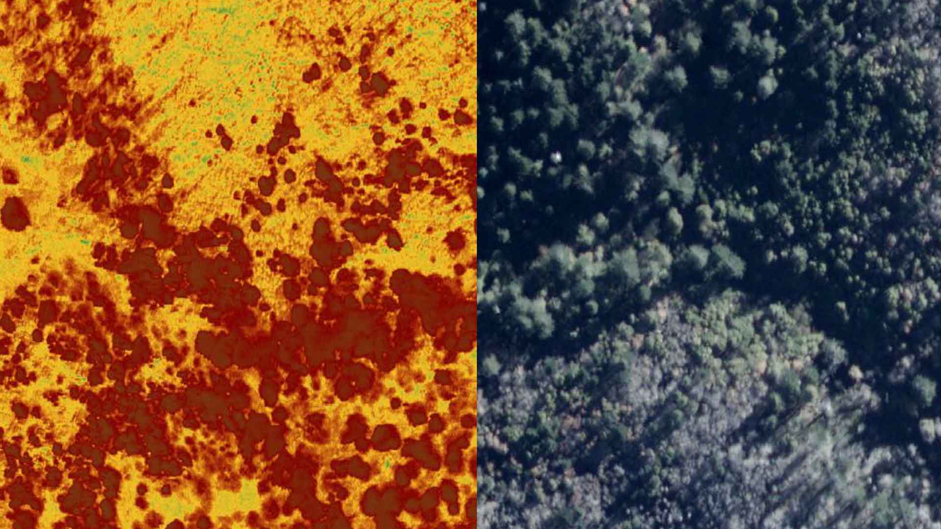 Courtney Aviation | Wildland Fire Aviation Services