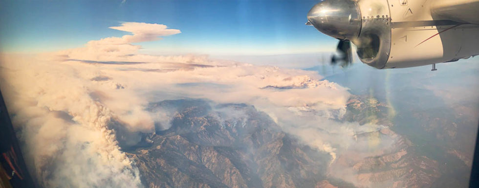 Experienced Air Attack Services | Courtney Aviation